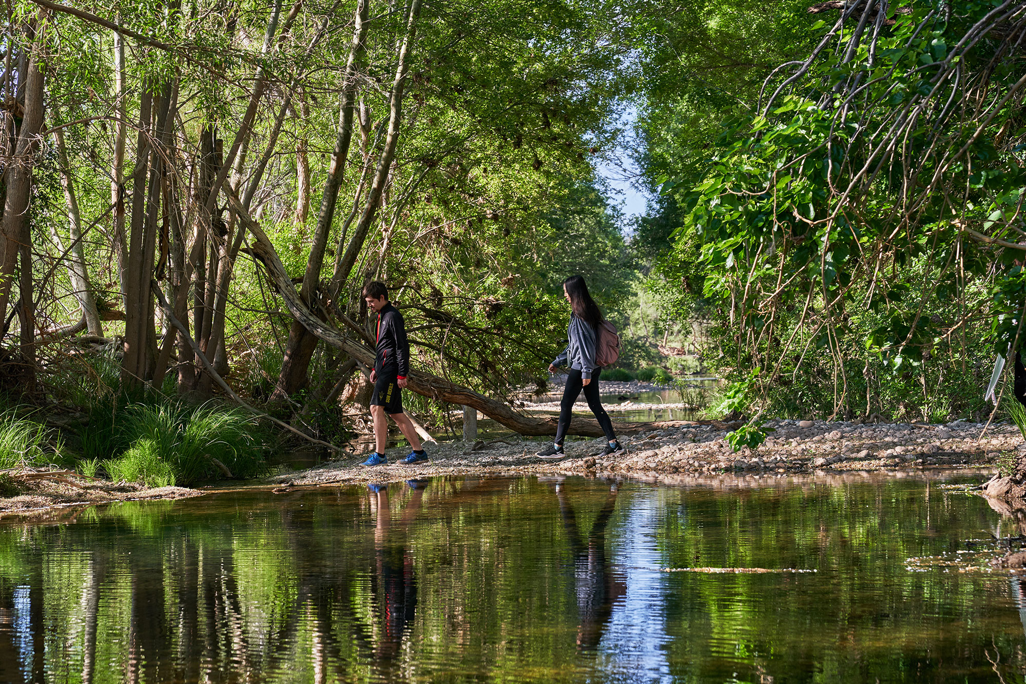 Verde River Headwaters State Park - Our Work in AZ
