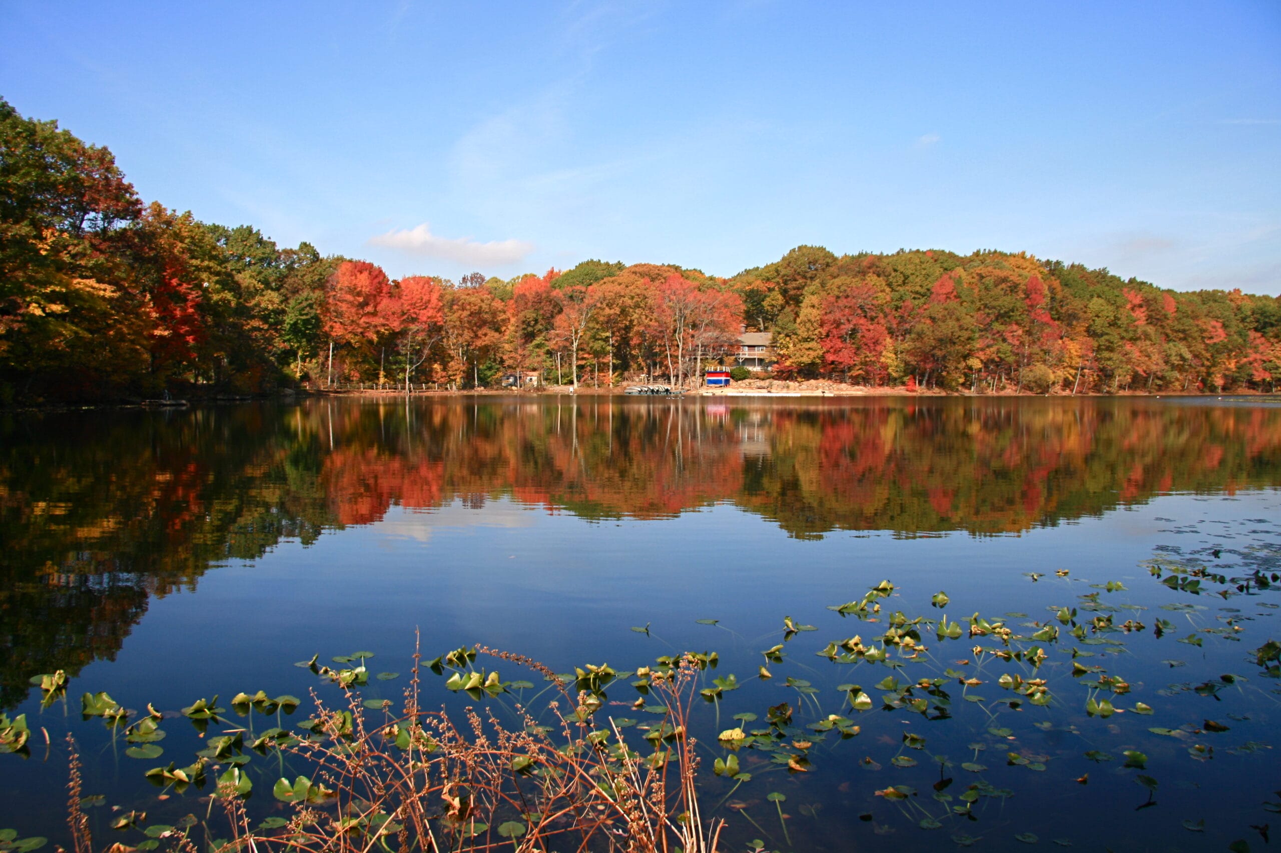 With Final 25 Acres Protected, Staten Island’s Pouch Scout Camp Is ...