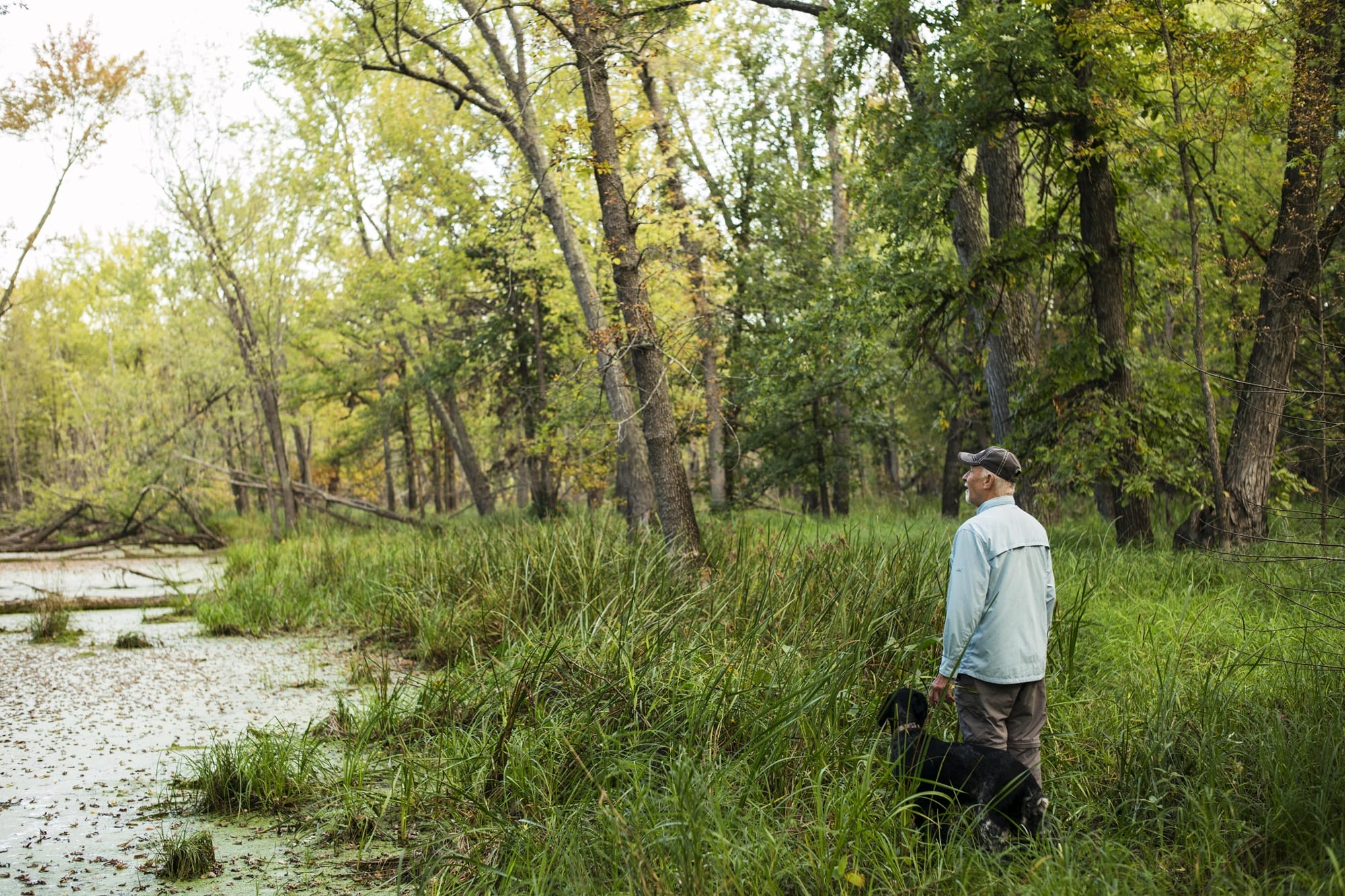 Panther Swamp National Wildlife Refuge Addition - Our Work in MS