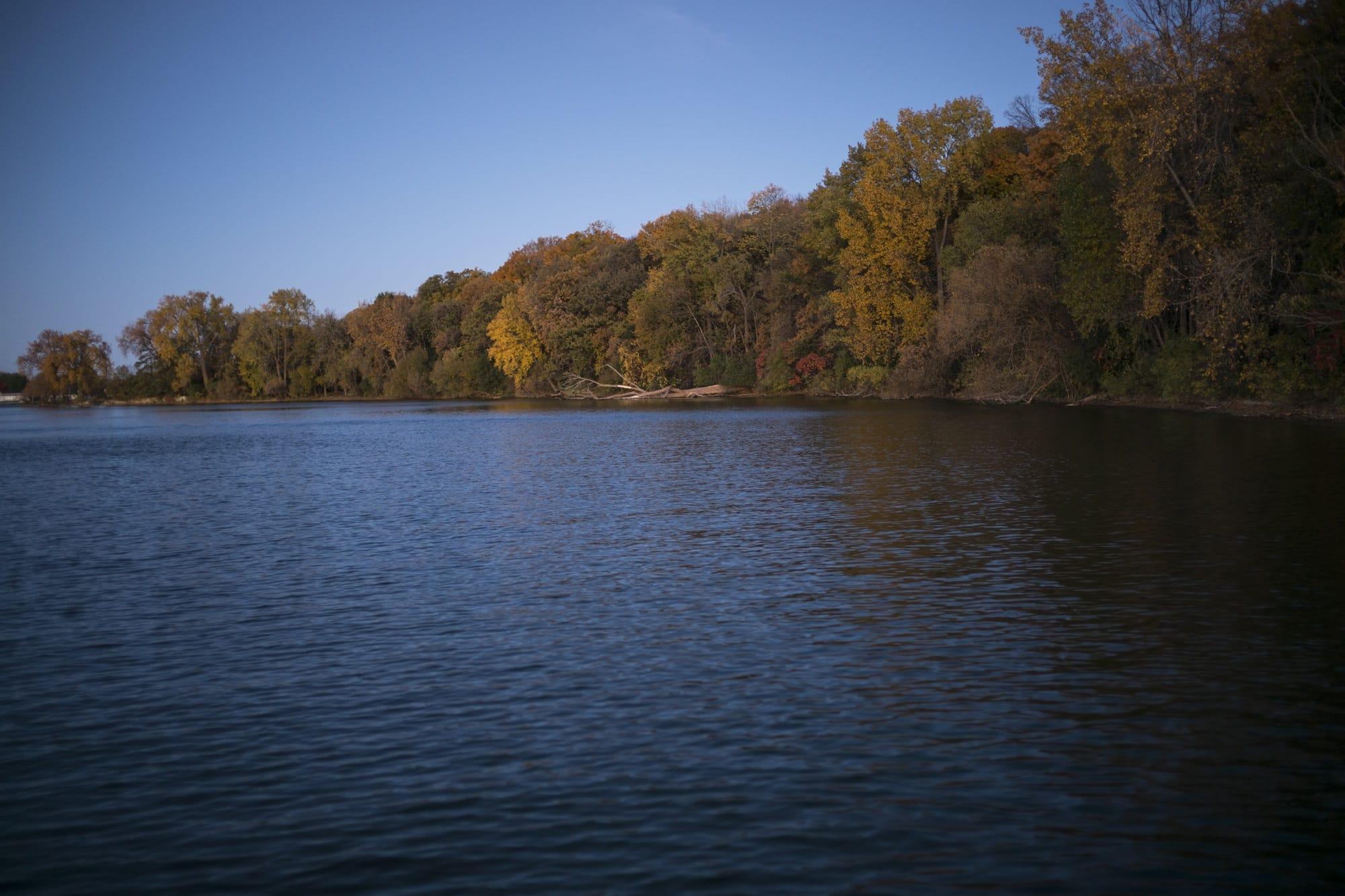Kroschel Wildlife Management Area - Our Work in MN